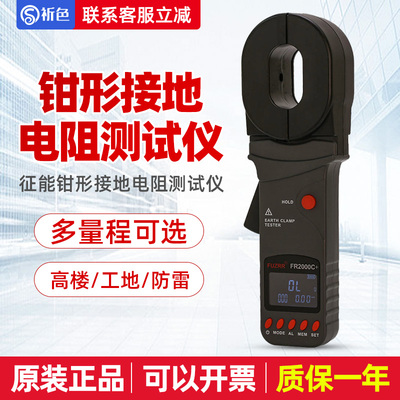 FR2000A+钳形接地电阻测试仪