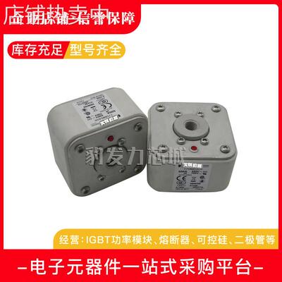 170M6364 170M6365 170M6366 170M6367 170M6368全新熔断器现货