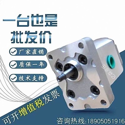 上海大众SDH齿轮泵CBD2-F201.3/202.7/203.4/204.1/205.1/206.1