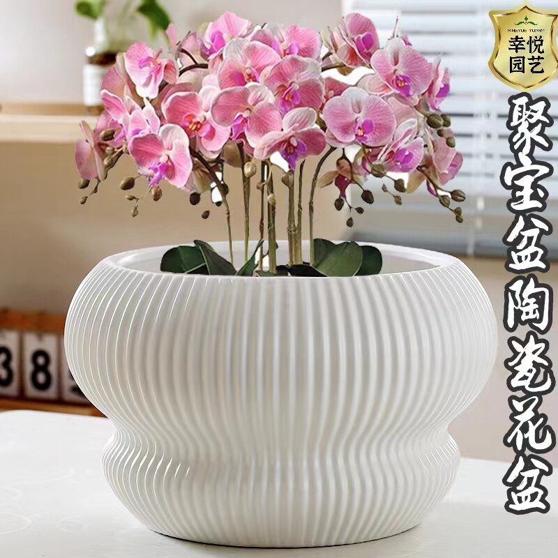 花盆陶瓷创意个性大号特大号家用带托盘家用绿萝多肉花盆