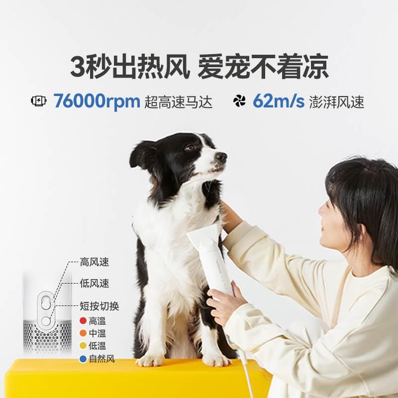 宜宝宠物吹水机狗狗吹风机高速大功率静音大型犬猫咪专用烘干吹毛