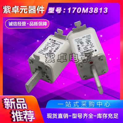 巴斯曼Bussmann熔断器170M3816D 170M3817D 170M3818D 170M3819D