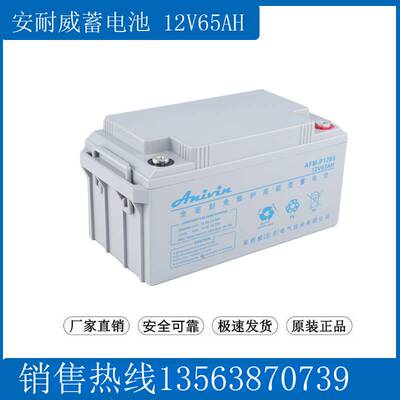 安耐威 AFM-C1265 UPS应急设备直流屏备用 Anivin蓄电池12V65AH