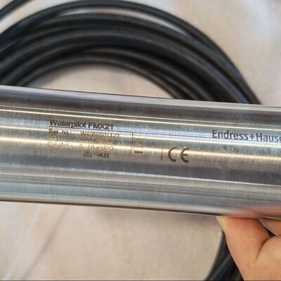 Endress+Hauser Waterpilot FMX2