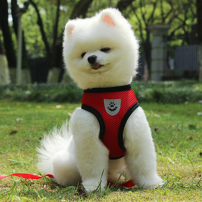 狗牵引绳专用胸背带狗狗用2025新款博美遛狗绳背心式外出可调节绳