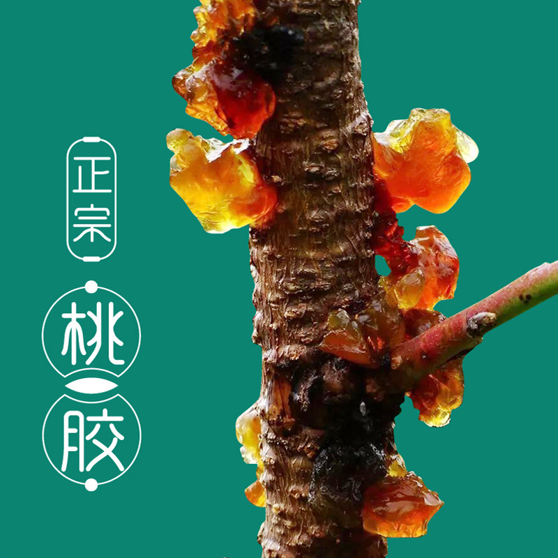 云南桃胶高山天然正品500g大颗粒仿野生特级无杂质人工修剪桃花泪