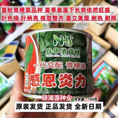 产种感恩炎青梗菜种子高亮绿速生抗热抗病力苏州青籽春HDT夏秋季
