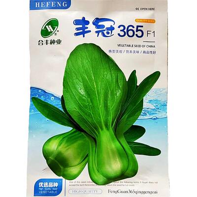 商丰冠3OKT5青梗菜种子品性6好束腰味美青菜农家春夏秋蔬播优质