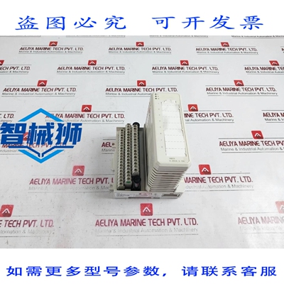 原装供应 AI810 3BSE013234R1 ESTESA TERMINAZI UNITA W/3BSE008