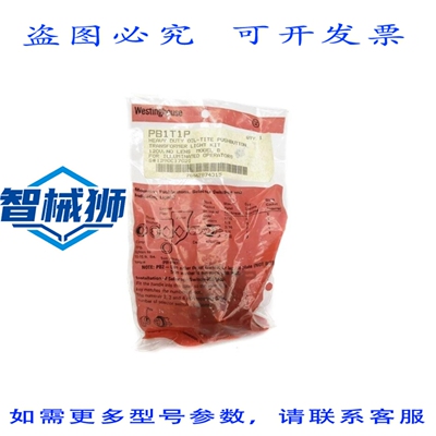 原装供应 PB1T1P 1290C17G21 NSMP