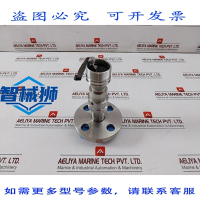 原装供应 BADOTHERM 50049716C012 12I-014 隔膜压力变送器