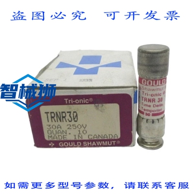 原装供应 GOULD SHAWMUT TRNR30 250VAC 30A（10个装）（WH/PK）N