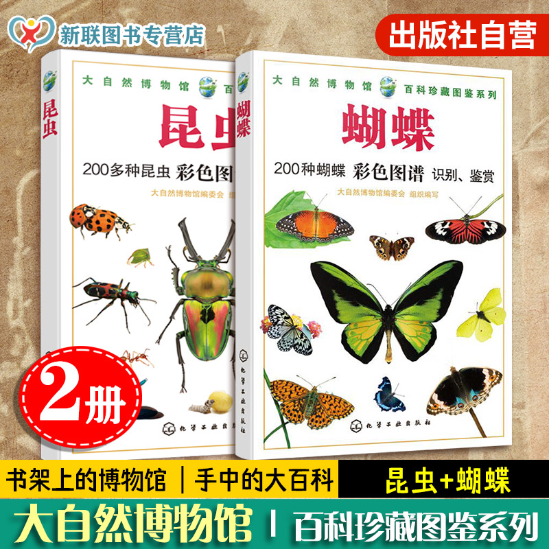 2册 大自然博物馆百科珍藏图鉴系列 蝴蝶 昆虫 生活环境习性繁殖特点知识大全多种类凤蝶袖蝶粉蝶青少年中小学动植物科普百科全书