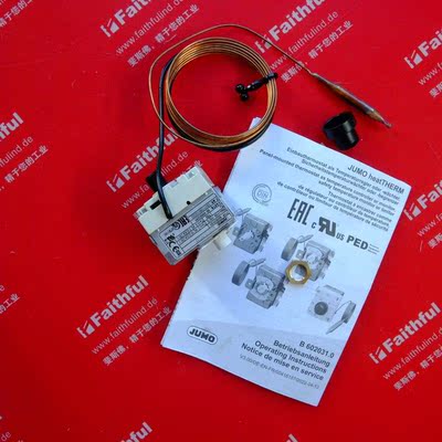 议价Jumo 60003291 久茂温度传器 heatTHERM 602031/81 150度