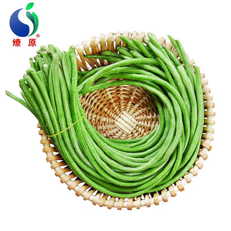 燎原绿色蔬菜长豇豆长豆角菜豆新鲜现摘当季农家蔬菜2斤包邮