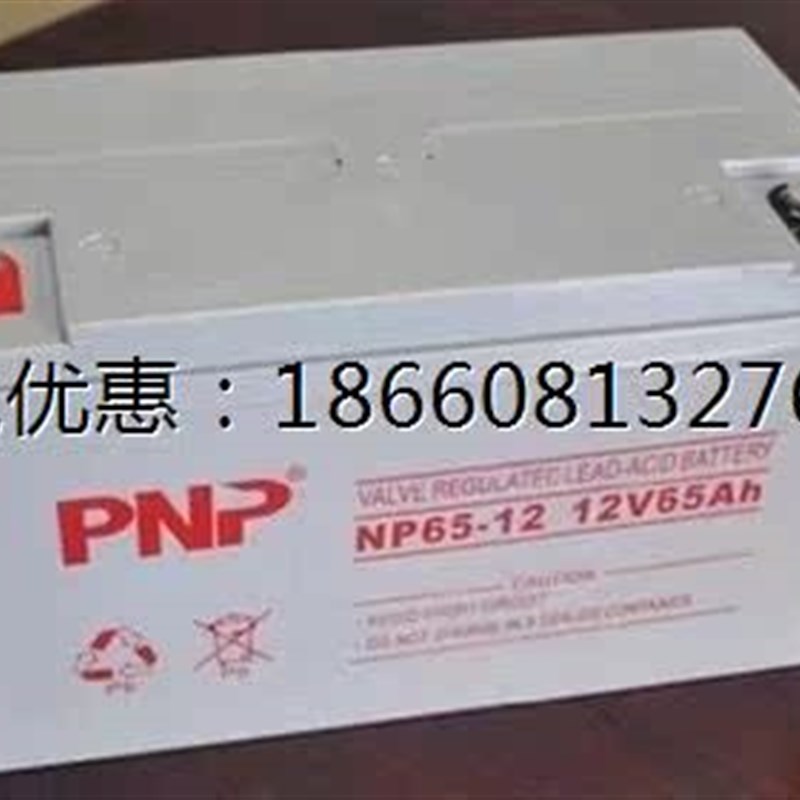 PNP蓄电池NP12V7/9/12/17/24/38/65/100/120/R150AH铅酸免维护机