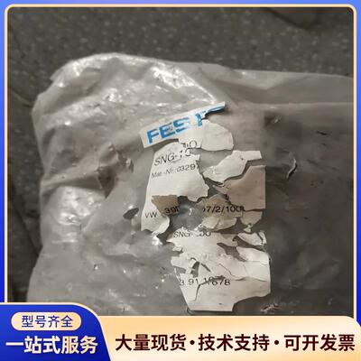 FESTO费斯托 SNG-100 32973 全新一个议价0