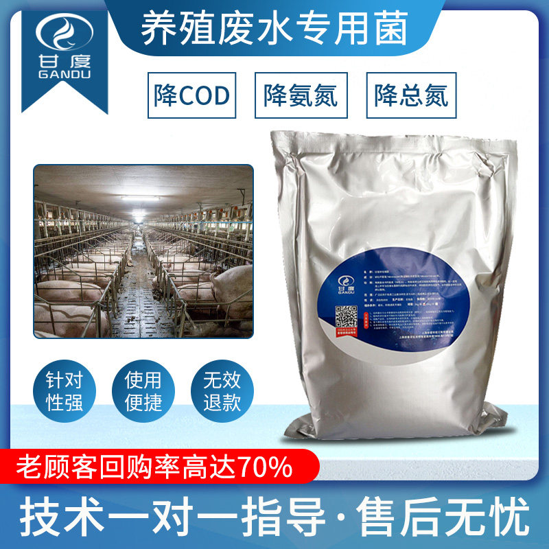 甘度养殖污水处理专用菌种生化系统培养挂膜硝化菌降氨氮活性菌剂