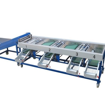 大蒜滚筒分选机  独头蒜筛选分级机 洋葱大小分拣  厂家直销