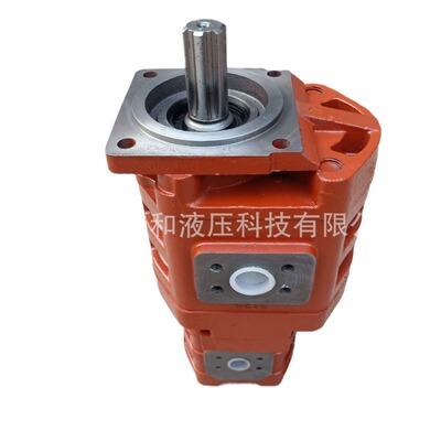 洛阳压路机齿轮泵 CBGJ3100/1032齿轮泵 球墨铸铁高压耐用液压泵