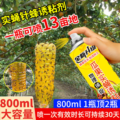 德国瓜果实蝇诱粘剂针蜂果蝇诱捕器菜园果园飞虫诱杀灭蝇杀虫喷剂
