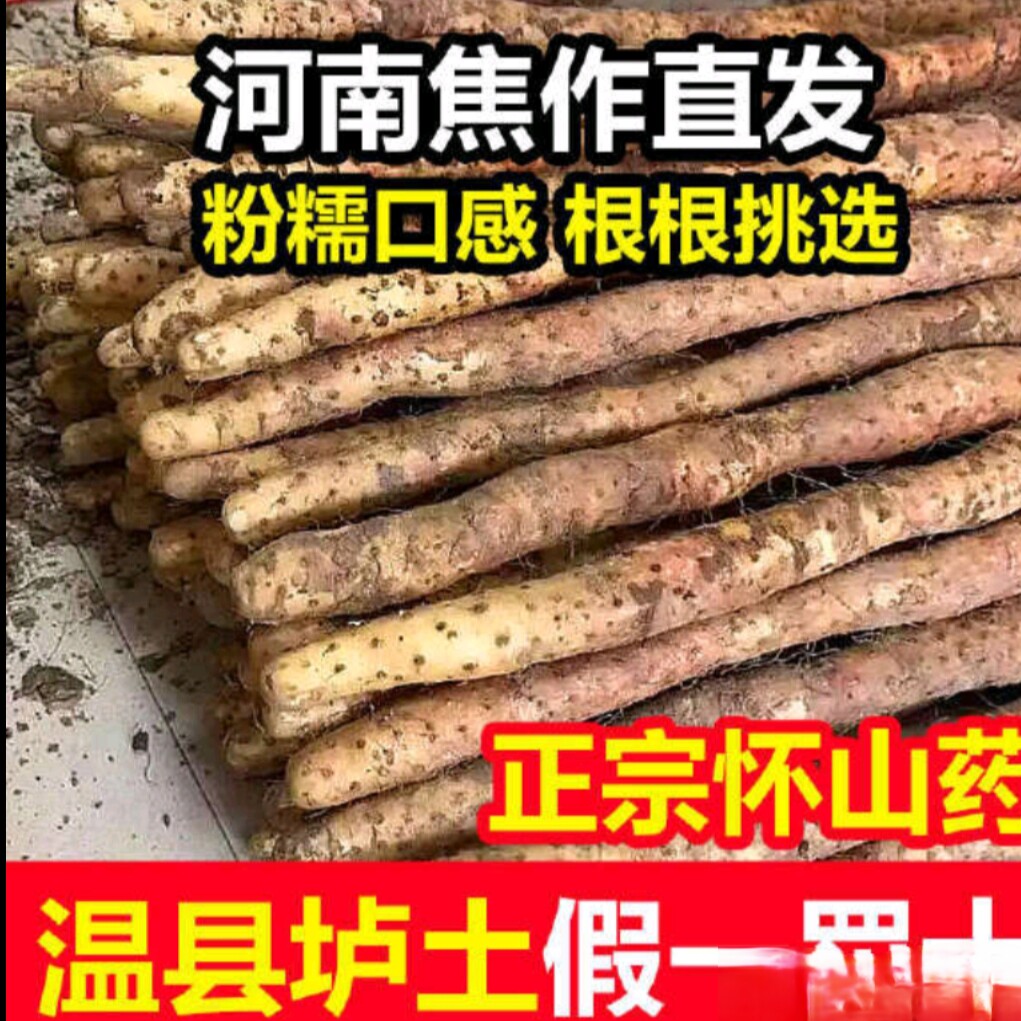 正宗河南焦作温县垆土铁棍山药新鲜淮山怀山药食同源食品 5斤包邮