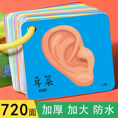 宝宝认知卡片0-3岁看图识认物早教卡动物卡片幼儿五官数字认知书