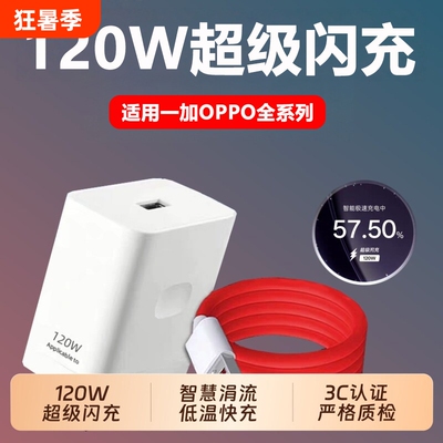 120W超级闪充头一加充电器适用10Pro手机1+9pro快充ace6/7/8t/9正品oneplus充电80Warp快充typec数据线原装