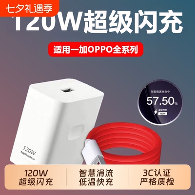 120W超级闪充头一加充电器适用10Pro手机1+9pro快充ace6/7/8t/9正品oneplus充电80Warp快充typec数据线原装