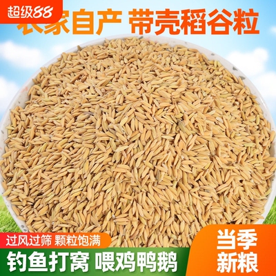 2025年稻谷带壳喂鸡鸭鸽粮饲料批发谷子水稻子喂鸡鸭鹅鸟杂粮粮食