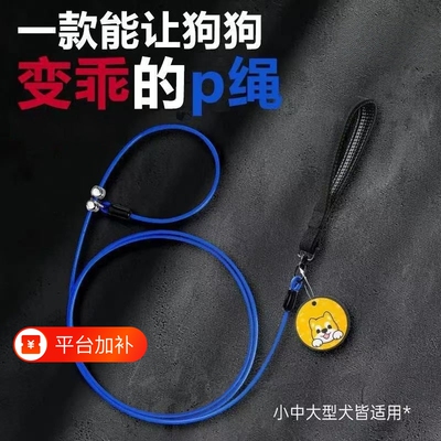 防爆冲狗绳大型犬小型犬小狗链子