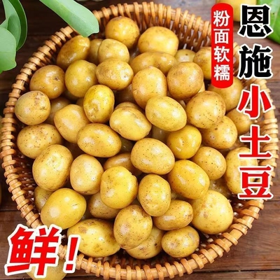 恩施黄心小土豆呀新鲜现挖3/5斤迷你马铃薯洋芋粉糯香甜自种黄皮