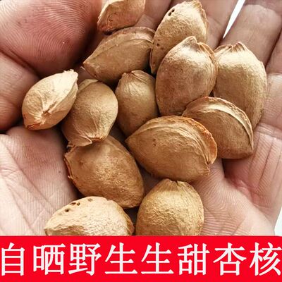 2025年新甜杏仁仁用杏仁生杏核未开口无水洗原色原味雕刻杏核