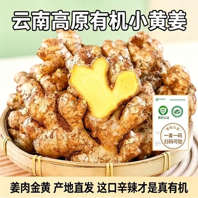 云南有机小黄姜新鲜老姜