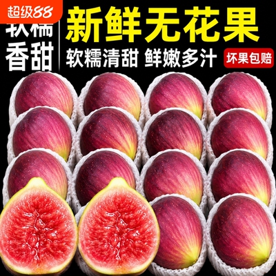 新鲜大果无花果|超1000次加购