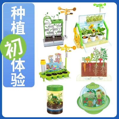 儿童学农体验种植阳光房种子泥土套装学生室内种菜养花草工具材料