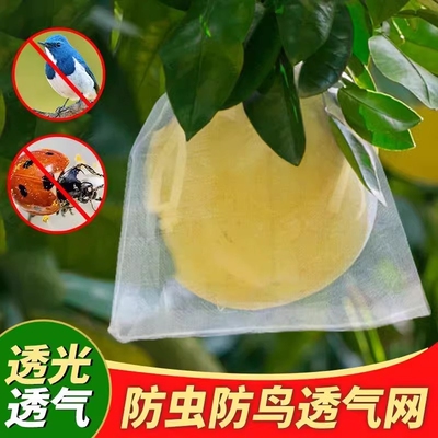 水果套袋无花果草莓葡萄专用袋防虫防鸟网袋石榴桃子西瓜番茄果子