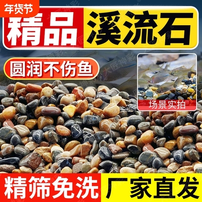 原生溪流石造景鱼缸底砂装饰五彩石大石头头纯天然铺底免洗鹅卵石