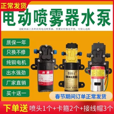 电动喷雾器水泵高压小型12V马达隔膜泵电机农用打药机配件大全