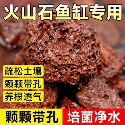 天然火山石鱼缸造景绿植兰花通用