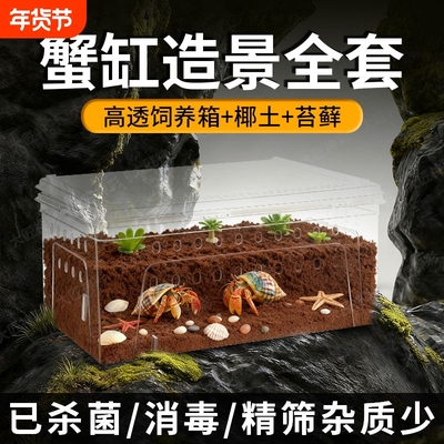 寄居蟹专用椰土椰砖海蟹螃蟹海沙爬宠饲养箱盒爬宠缸养殖造景套餐