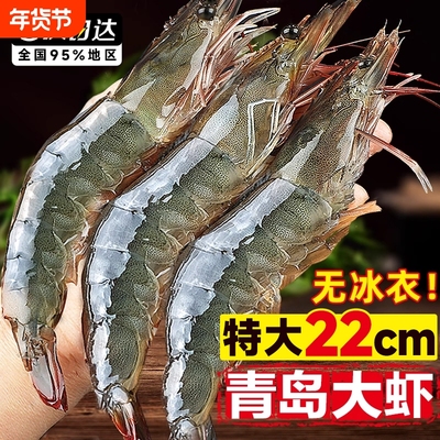 大虾鲜活特大号基围虾青岛海鲜生鲜冻虾白虾水产王牌速冻冷冻新鲜