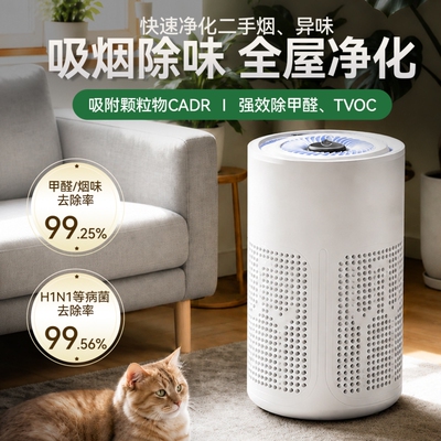净化器空气桌面办公室家用小型吸烟除甲醛净化机清新机除烟宠物味