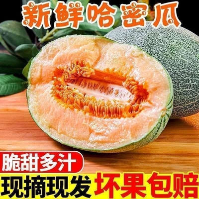 海南哈密瓜西州蜜10斤新鲜整箱