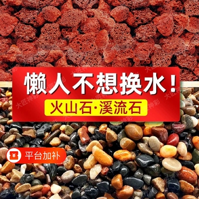 溪流石装饰2斤|超2000次加购