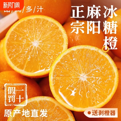 正宗湖南麻阳冰糖橙纯甜果冻橙当季新鲜桔子丑柑橘蜜橘水果