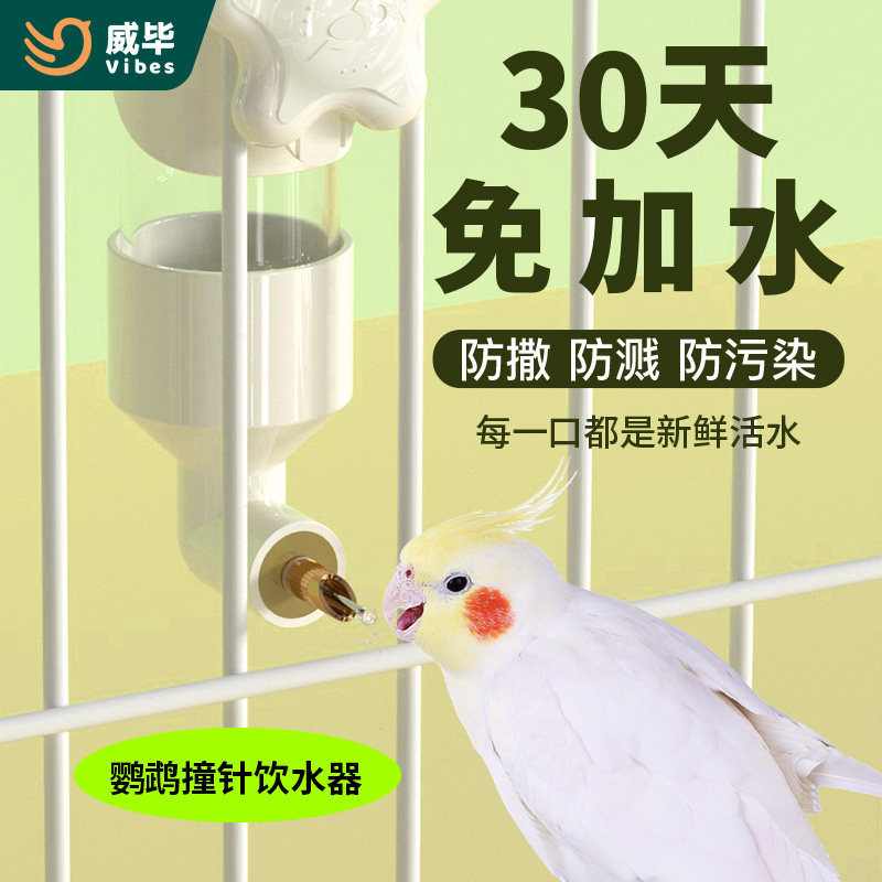 威毕鸟用饮水器虎皮喝水壶中小型鹦鹉撞针水壶玄凤挂式自动喂水器