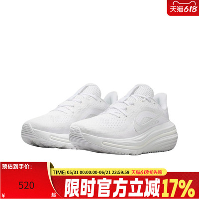 Nike耐克女子WINFLO运动跑步鞋HV9273-103