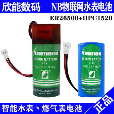 ER26500+HPC1520燃气表水表电池