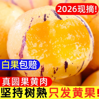 白果赔！云南人参果水果黄肉大果